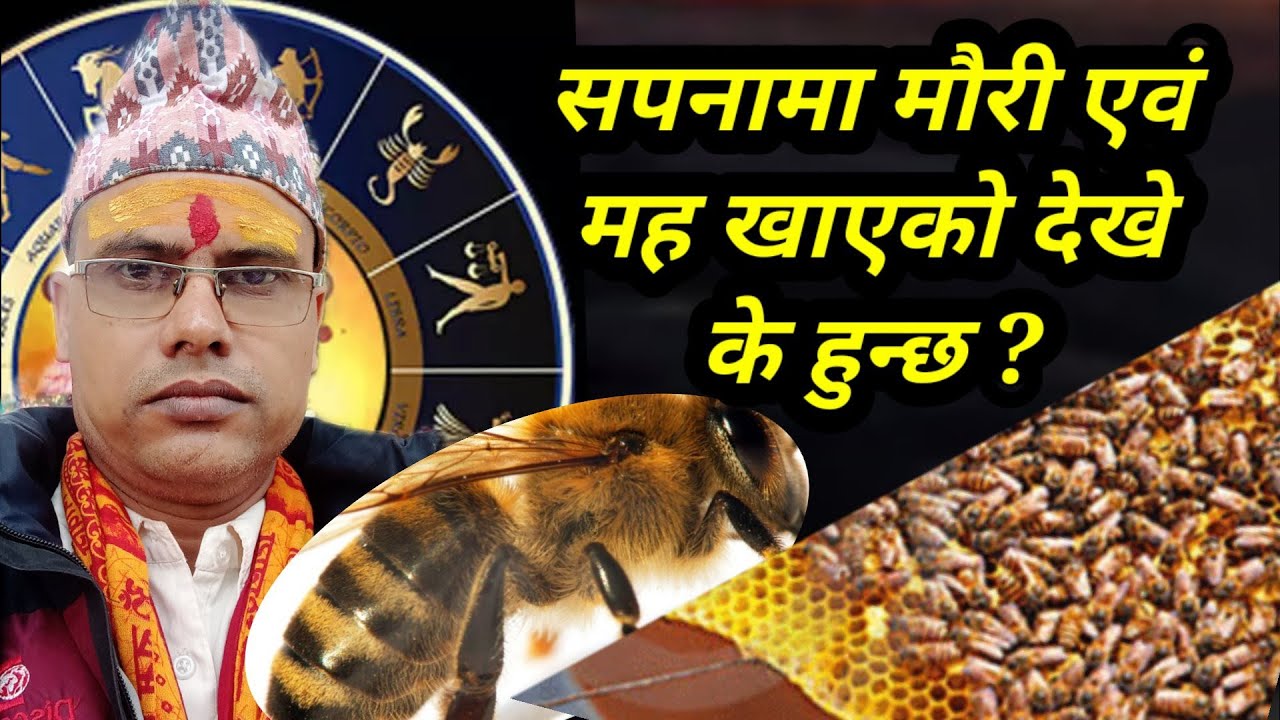 सपनामा मौरी एवं मह खाएको देखे के हुन्छ ? Sapanama Mauri Evam Maha ...