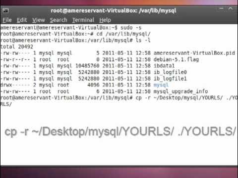 How To Recover MySQL Database From Data Files - YouTube