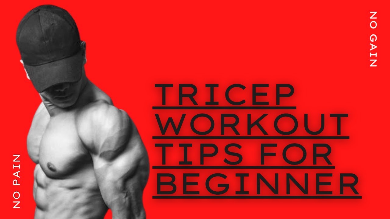 TRICEP WORKOUT PROGRAM FOR BEGINNERS - YouTube