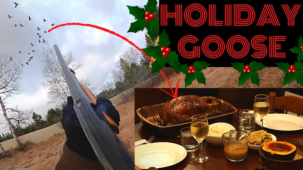 Christmas Goose Catch and Cook (Holiday Special) - YouTube