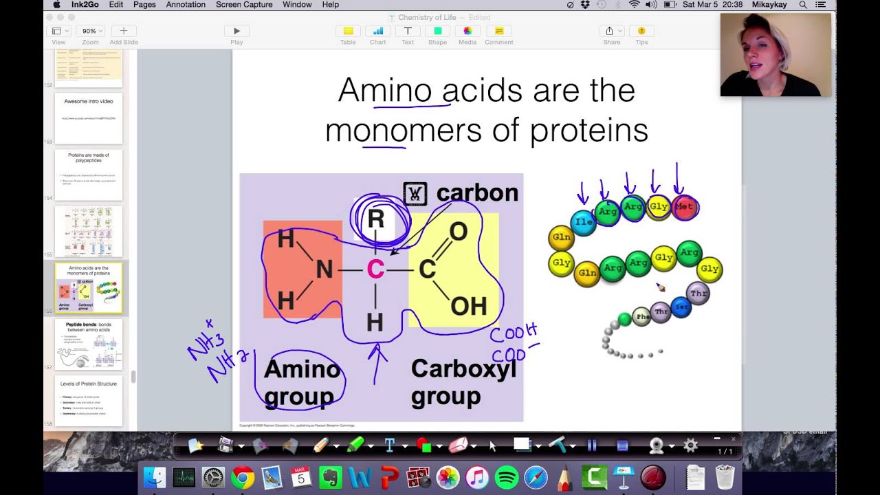 Large Biological Molecules: Proteins (5.4) - YouTube