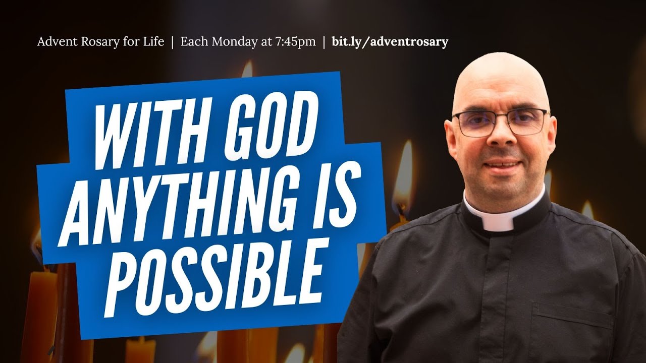 Advent Pro-Life Reflection - Fr Peter Shankland - YouTube