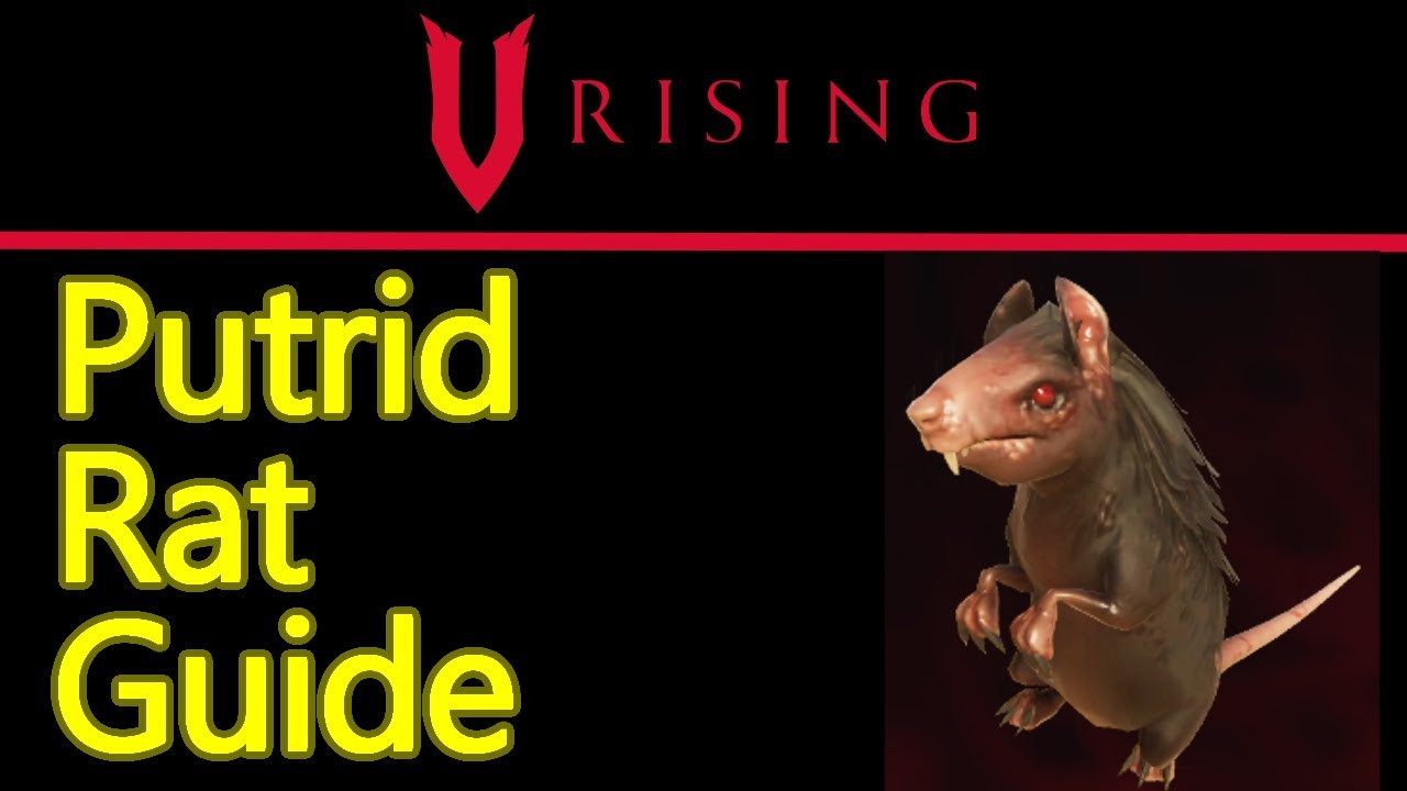 V Rising Putrid Rat boss guide and location - YouTube