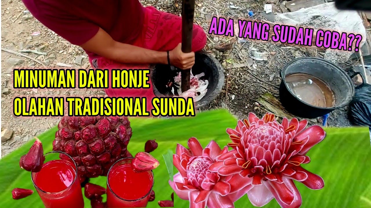 MEMBUAT JUS DARI BUNGA KECOMBRANG - YouTube