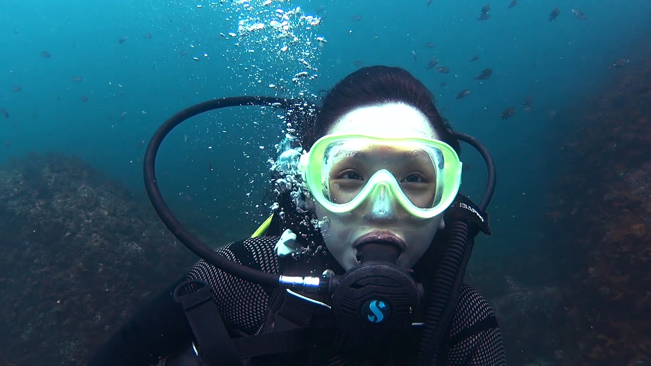 Diving Jeju, South Korea! - YouTube
