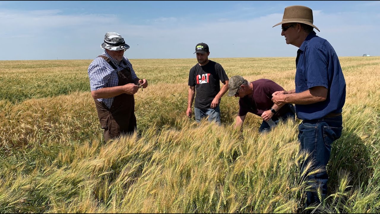 Neil Whatley: Sustainable Crop Production While Protecting the ...