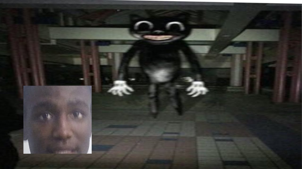 GEEKED CAT 🙀🙀🙀 - YouTube