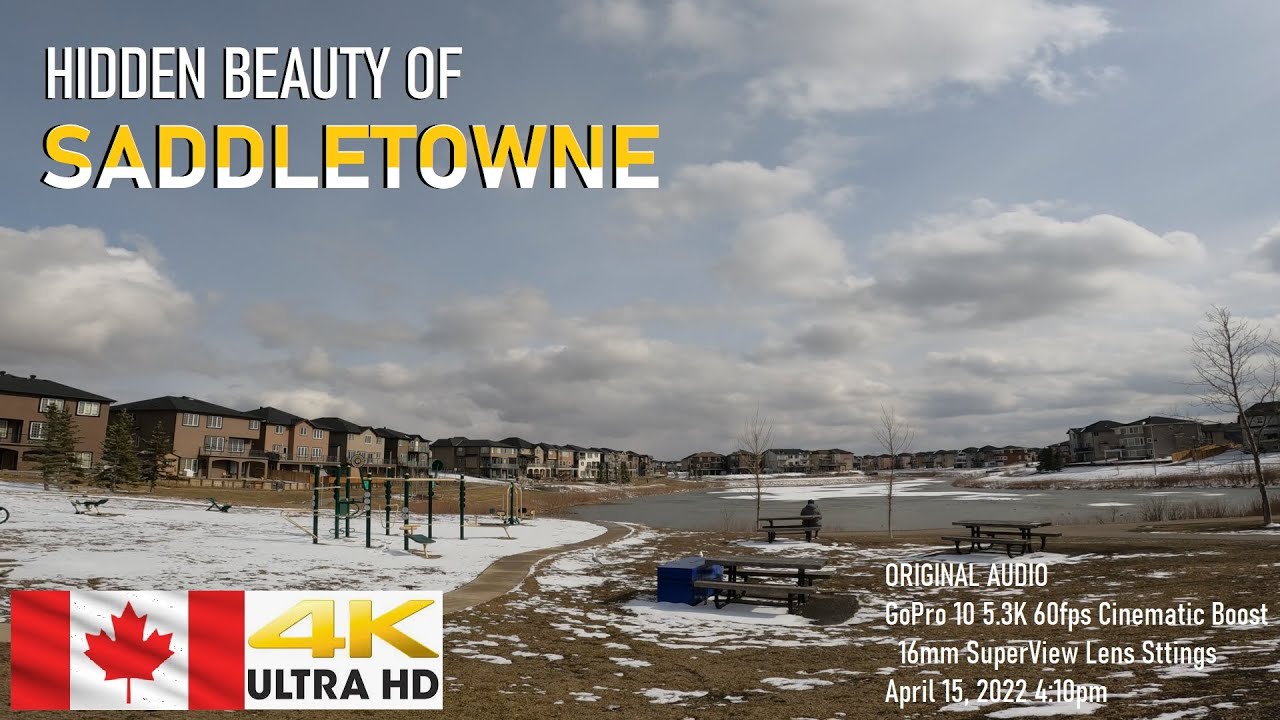 SADDLETOWNE NORTH EAST OF CALGARY 2022, HIDDEN BEAUTY SHOW on Holy ...