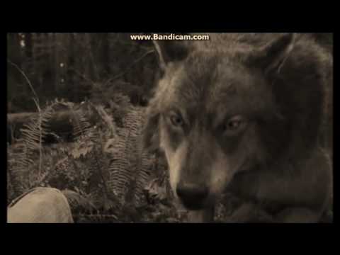Twilight Wolves - Salvation(Skillet)