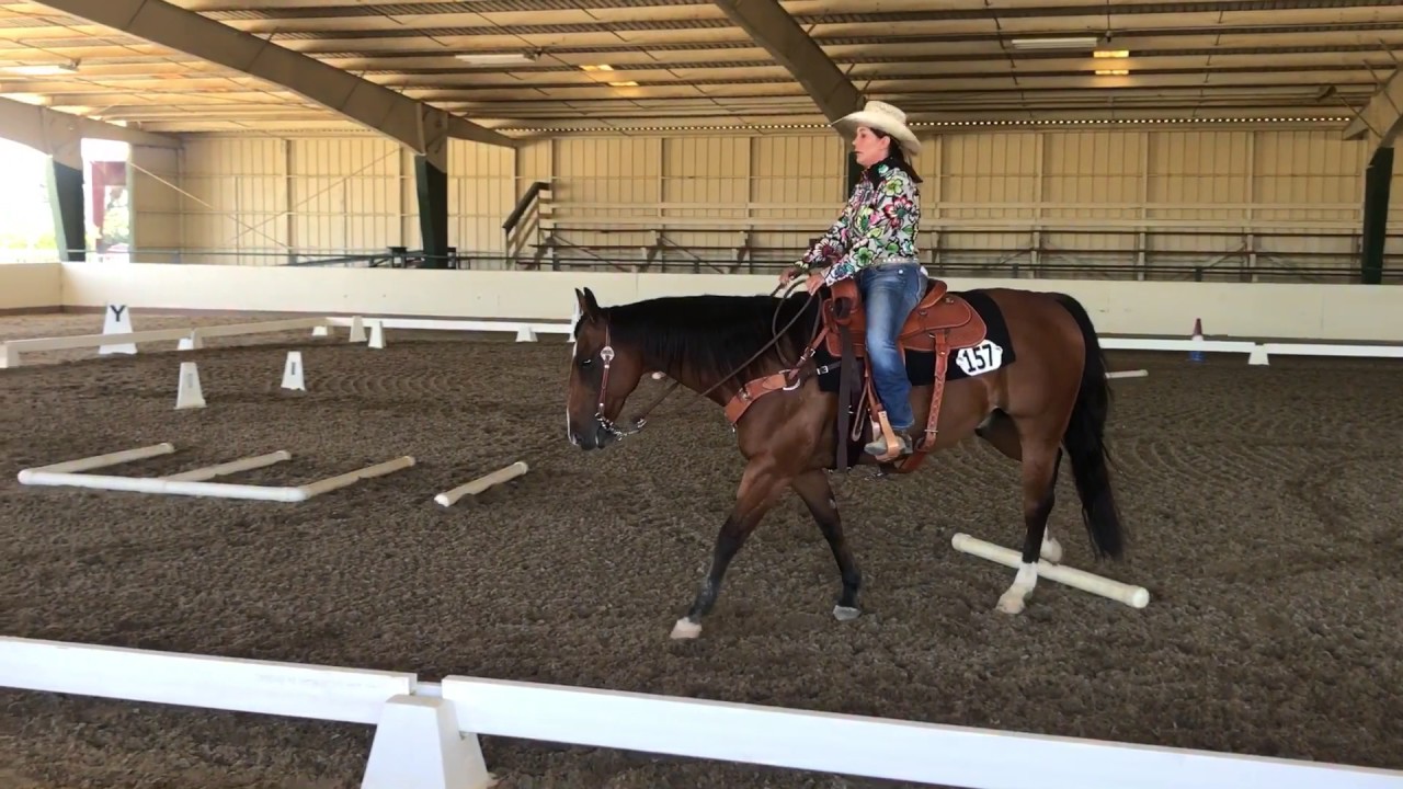 Cowboy Dressage Challenge Walk, Jog, Lope, Test #1, Powers Secret Cash ...
