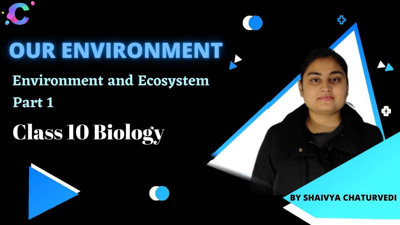 OUR ENVIRONMENT || Environment and Ecosystem || Part 1 || Class 10 ...
