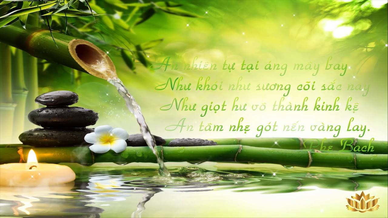Nhạc Thiền Hòa Tấu Phật Giáo Tĩnh Tâm An Nhiên Tự Tại - YouTube