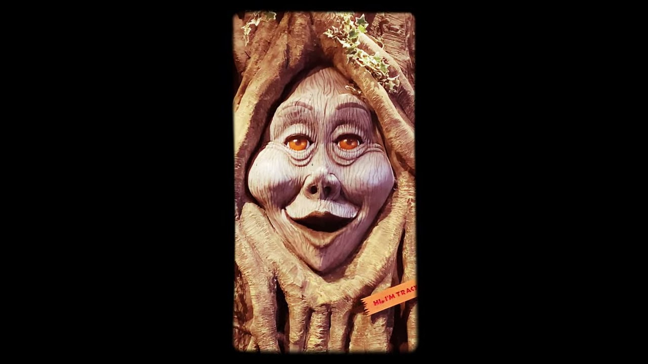 Hi, I’m Tracy Tree! - YouTube