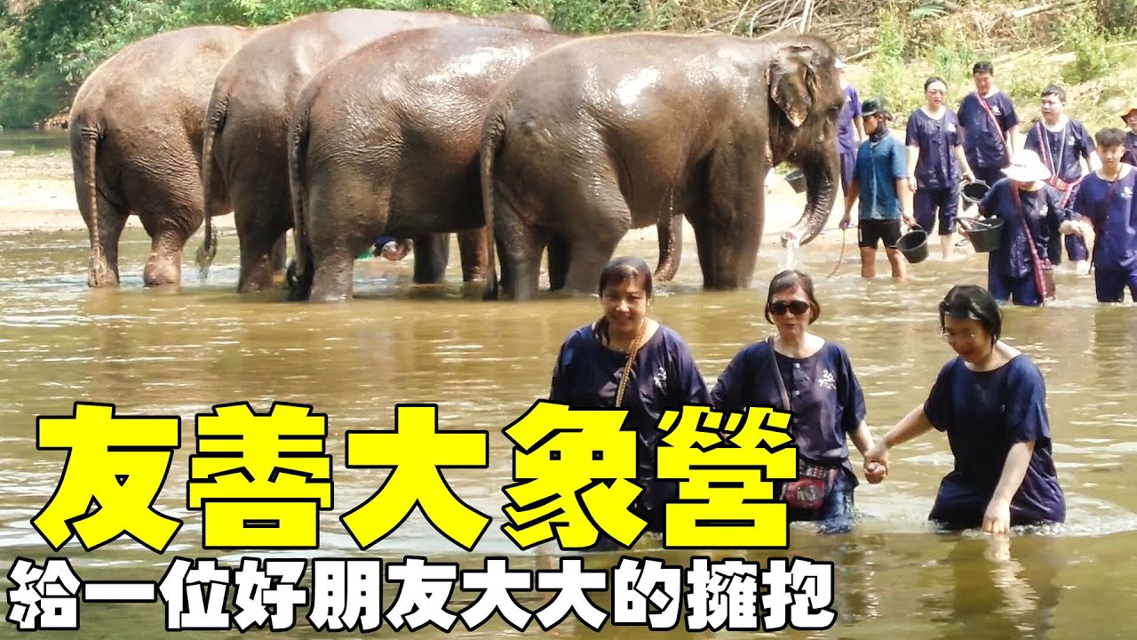 給一位好朋友一個大大的擁抱【Hug Chang 清邁】 HUG CHANG MAETENG ELEPHANT SANCTUARY ...