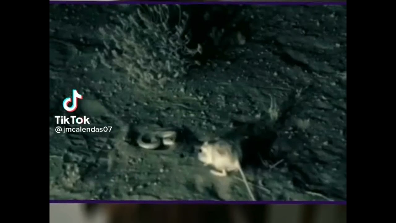 November 8, 2021 - YouTube