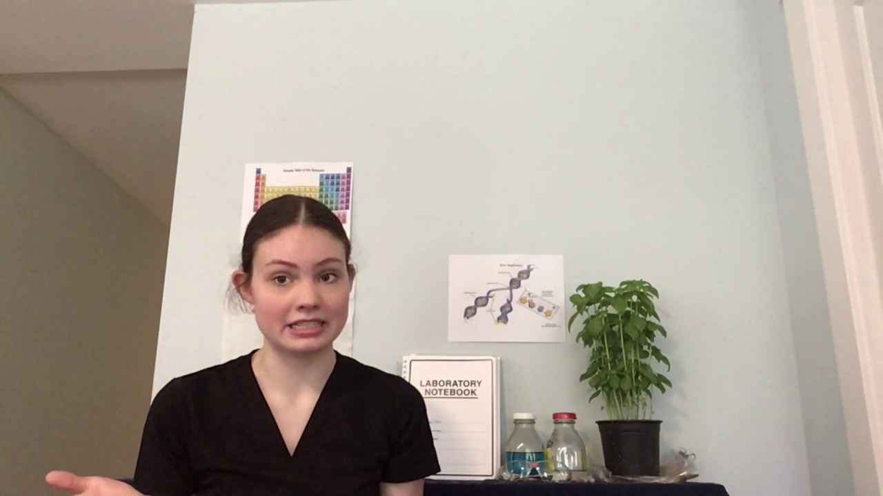Alexa Carr Break Through Junior Challenge 2020 - YouTube