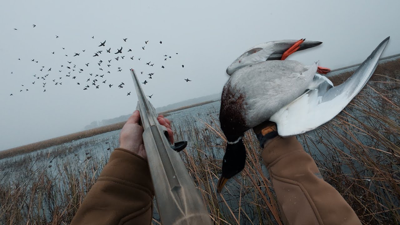 Solo Hunting Late Season Blizzard | Minnesota Duck Hunting - YouTube