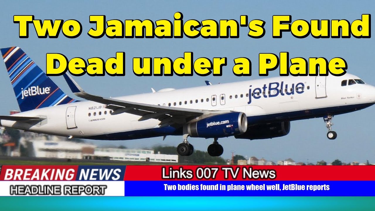 Two bodies found in plane wheel well, JetBlue reports - YouTube