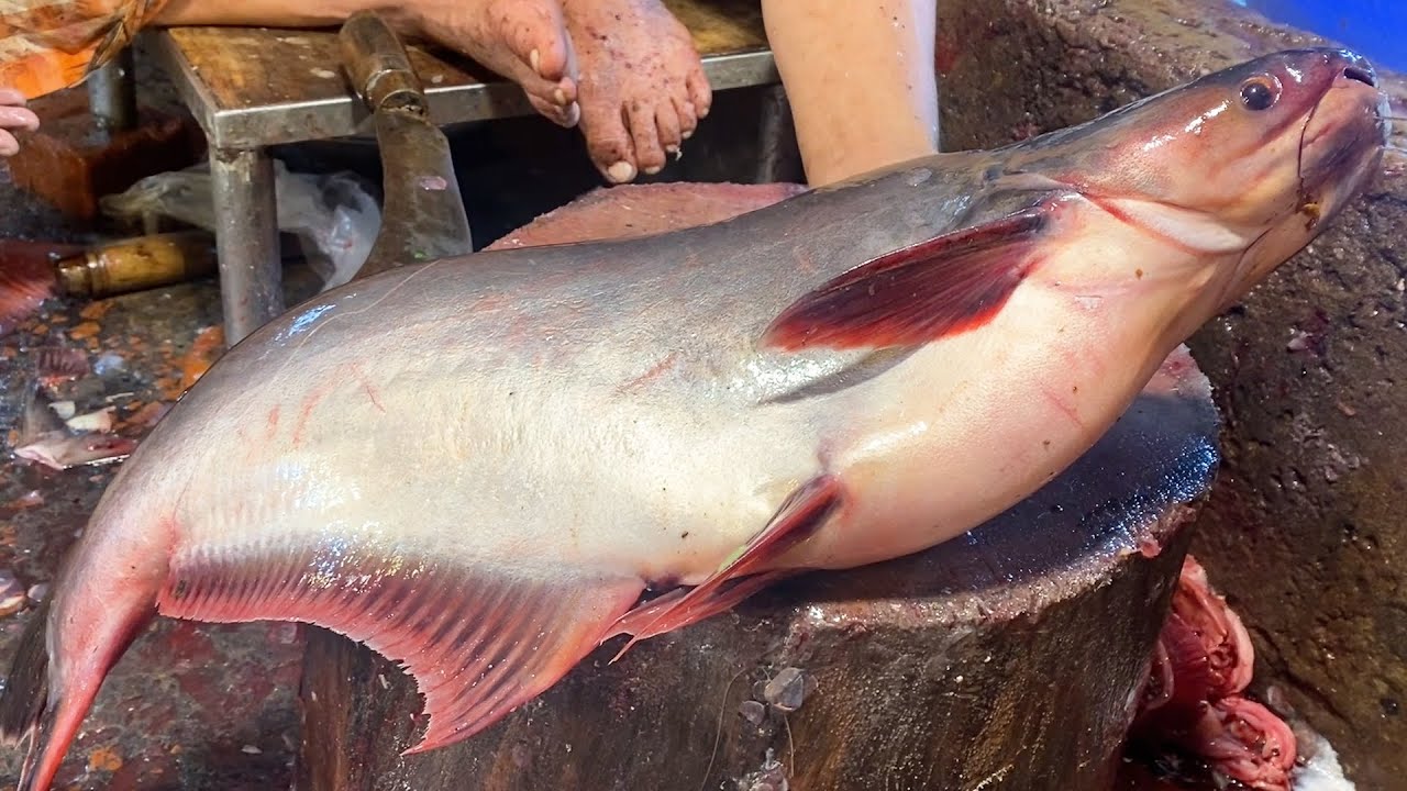 Expert Fish Cutting Skills | Live Big Pangas Fish Skinning and Cutting In Bangladesh Fish Market ...