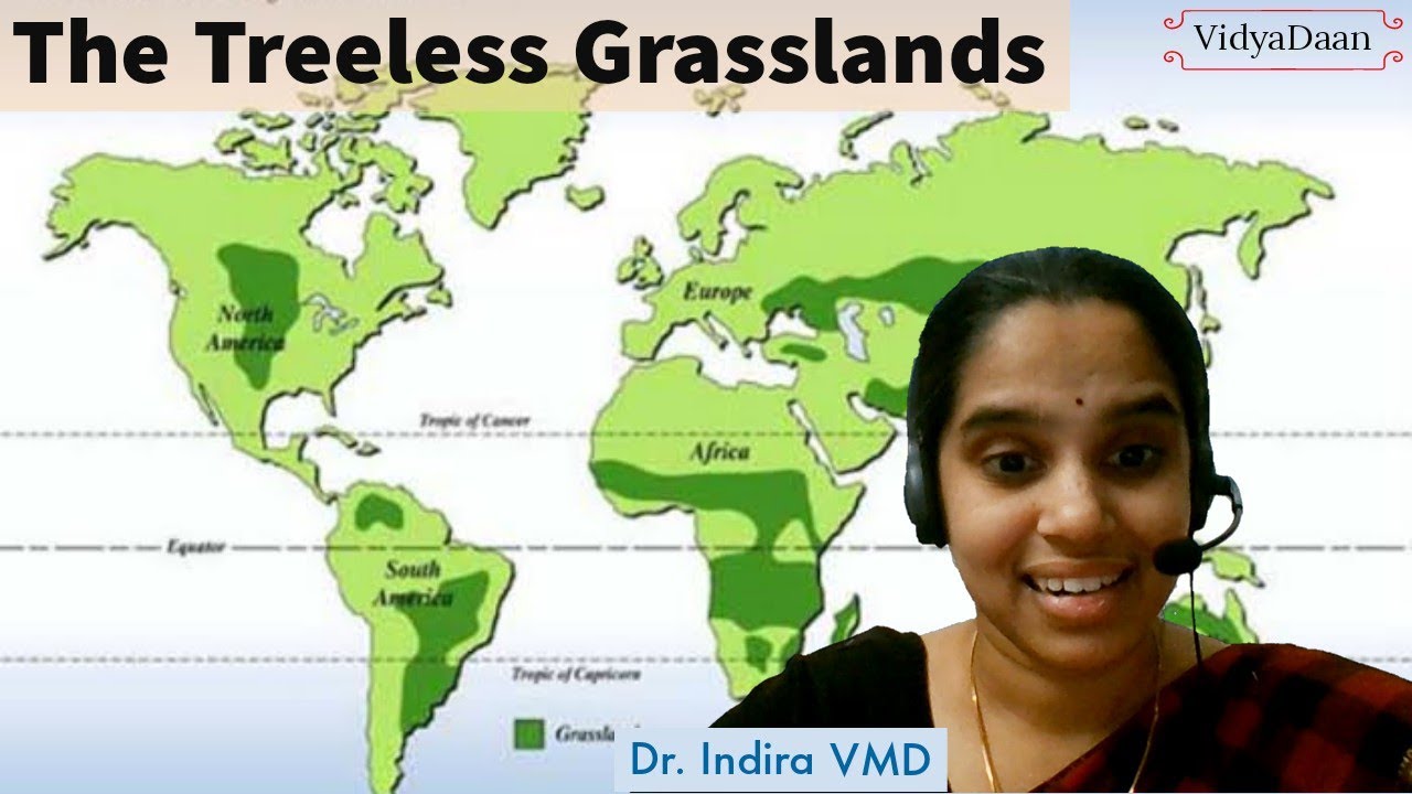 The Treeless Grasslands | Social Science | Geography | CBSE | Dr ...