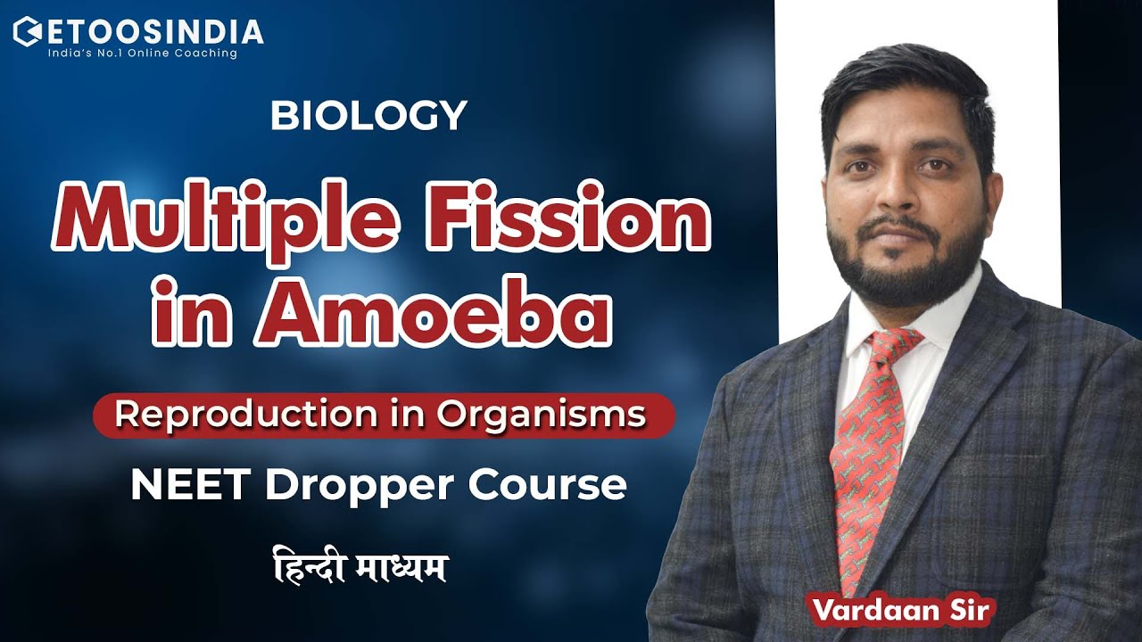 Multiple Fission in Amoeba | Reproduction in Organisms | NEET Dropper ...