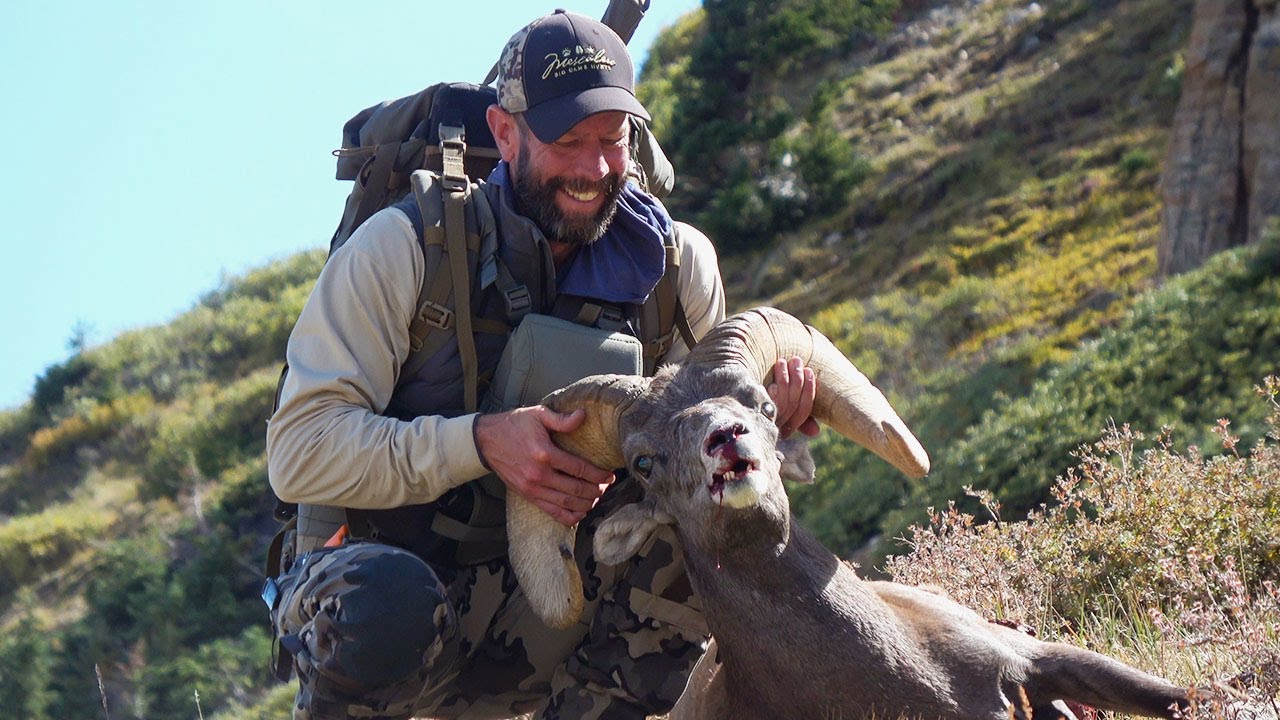 Colorado BIGHORN SHEEP Hunt | Catch Clean Cook - YouTube