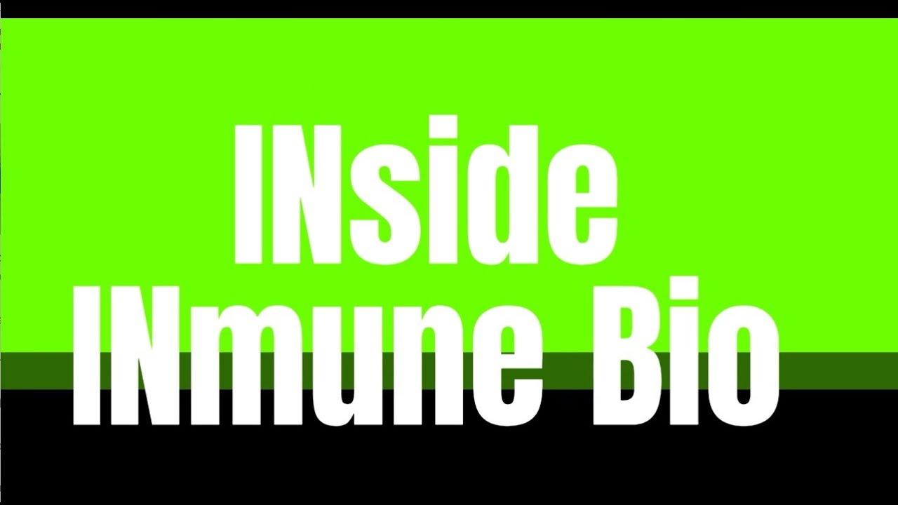 INside INmune Bio | Episode 3 - The Program in One Slide - YouTube