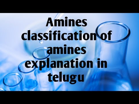 class 12// chapter-Organic compounds containing Nitrogen// Amines, classification of amine - YouTube