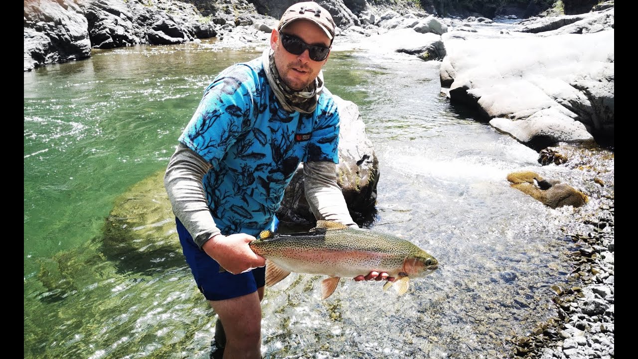 8lb+ Ruahine Rainbow; 2 Days of Fishing and Hunting in the Ruahines of ...