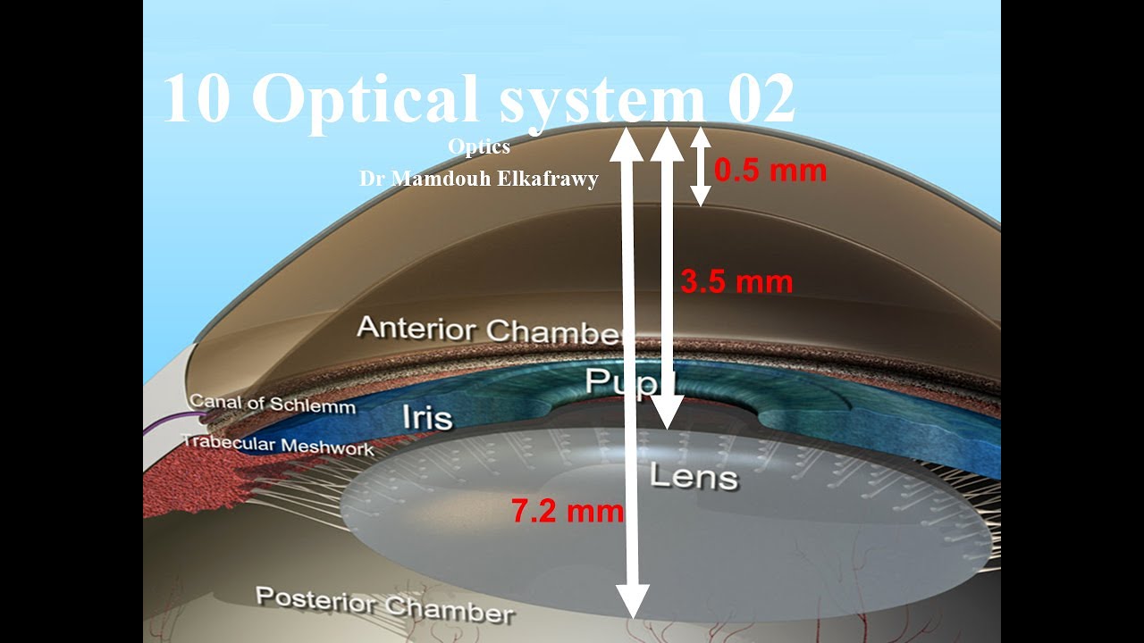 10 Optical System of the eye part-2 #الكفراوي #أوبتكس #Elkafrawy # ...