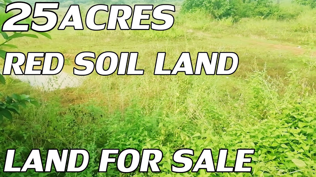 25 ACRES LAND FOR SALE | RAINFED CULTIVATION LAND SALE | RED SOIL LAND ...