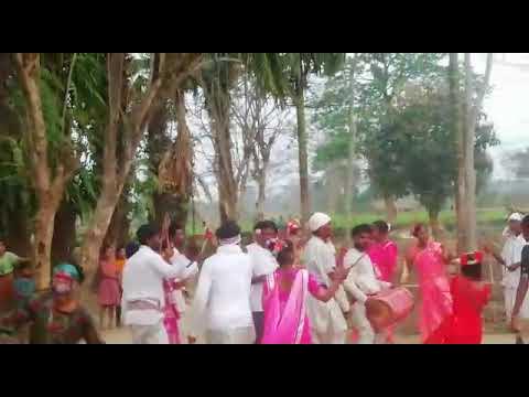 Adivasi holi dance videos lathi khela faguwa assam holi dance Adivasi holi videos lathi khela ...
