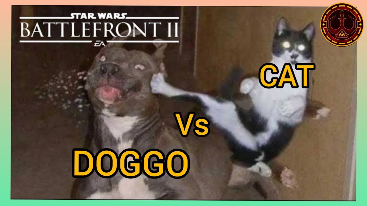 Star Wars Dog Meme