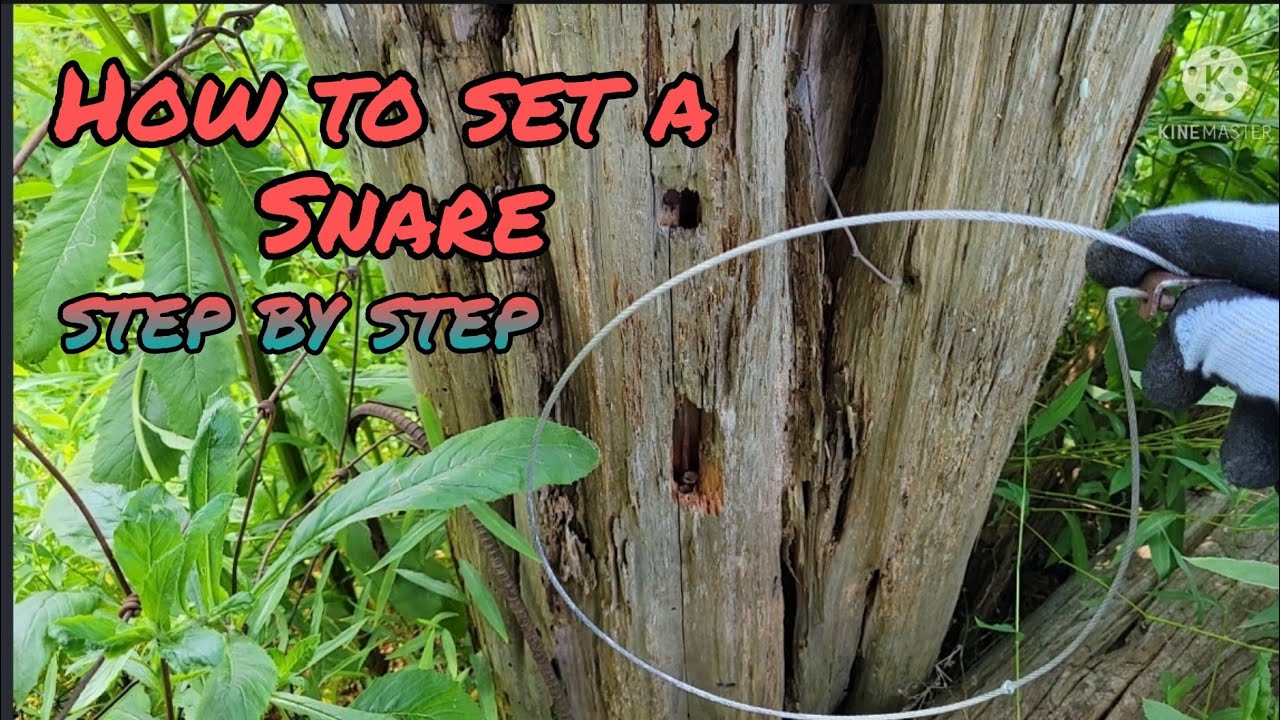 How to set a Snare | Step By Step Tutorial | Trapper Joe Outdoors - YouTube