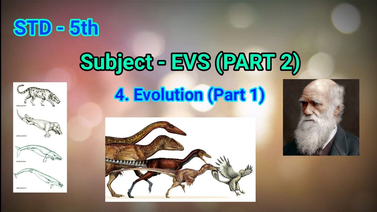 Standard 5th | EVS 2 | chapter 4 Evolution | Environmental studies part ...