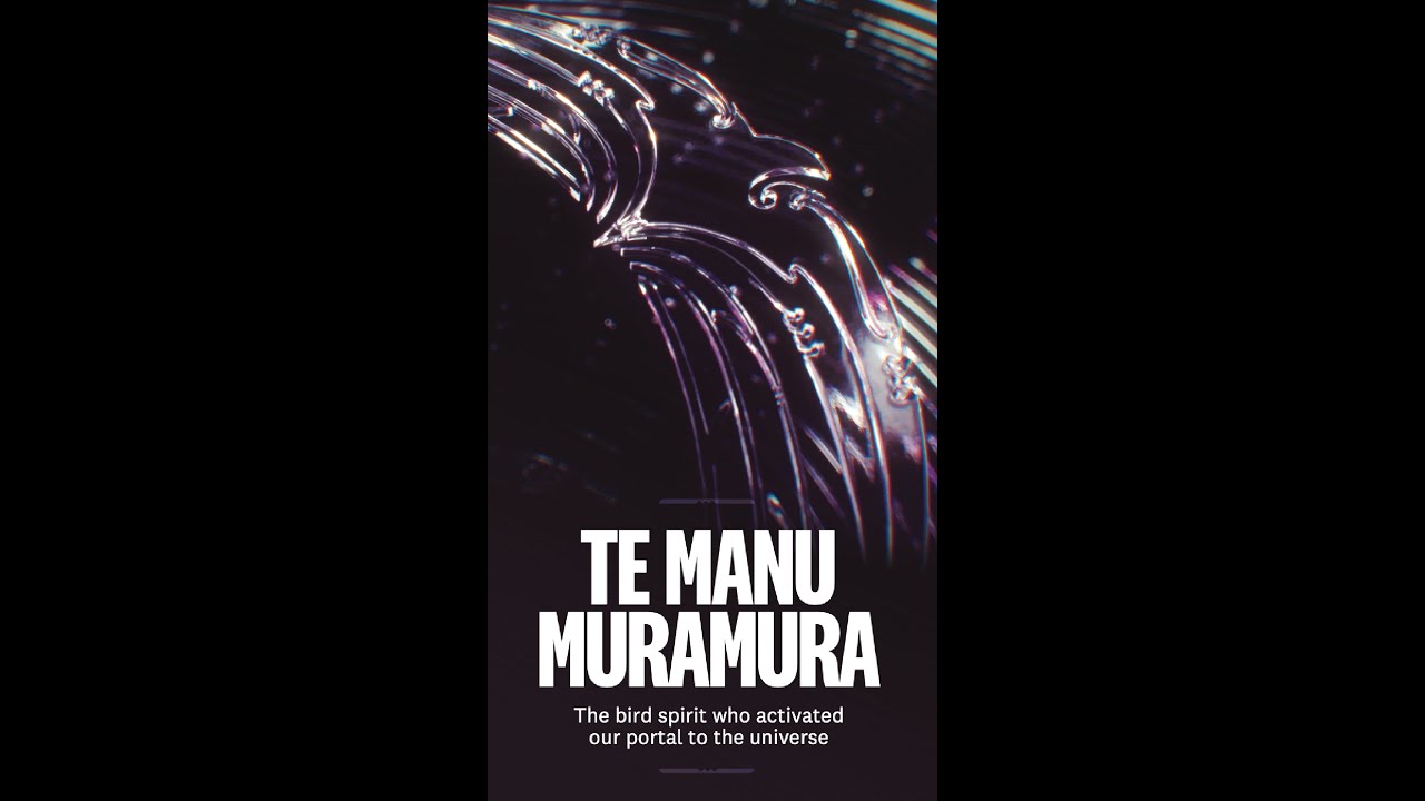 Manu Muramura: Te Whanganui-a-Tara Wellington's ancient spirit bird ...