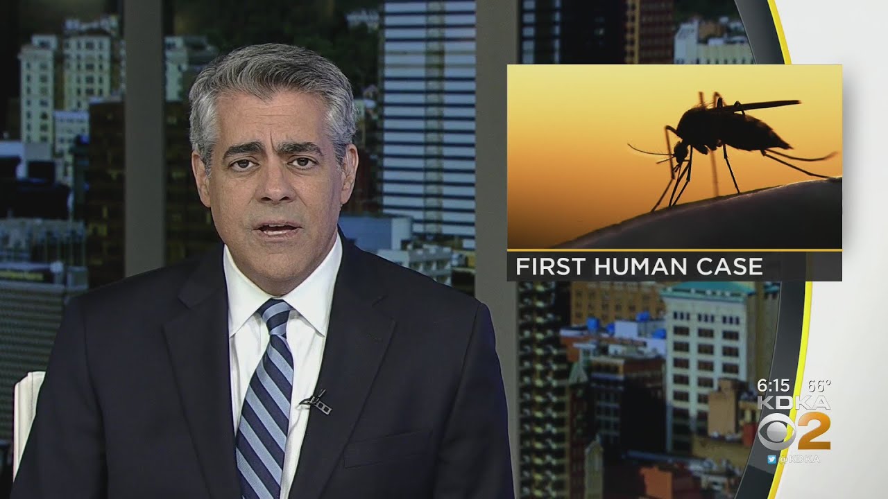 Allegheny County reports first human West Nile virus case since 2021 ...