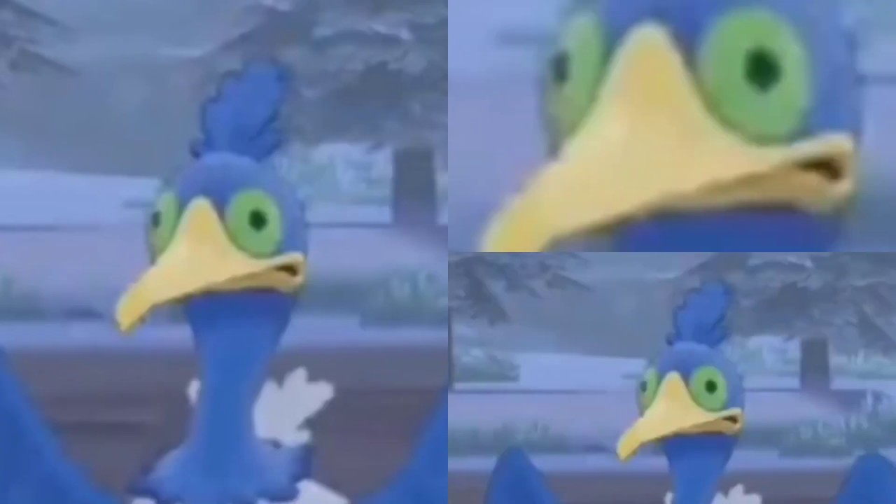 Cramorant Bird up meme - YouTube