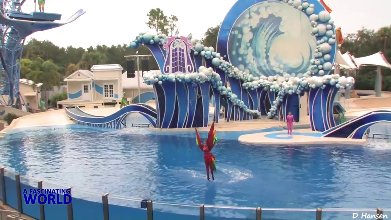 A FASCINATING WORLD: SeaWorld`s Blue Horizons Dolphin Show Florida ...