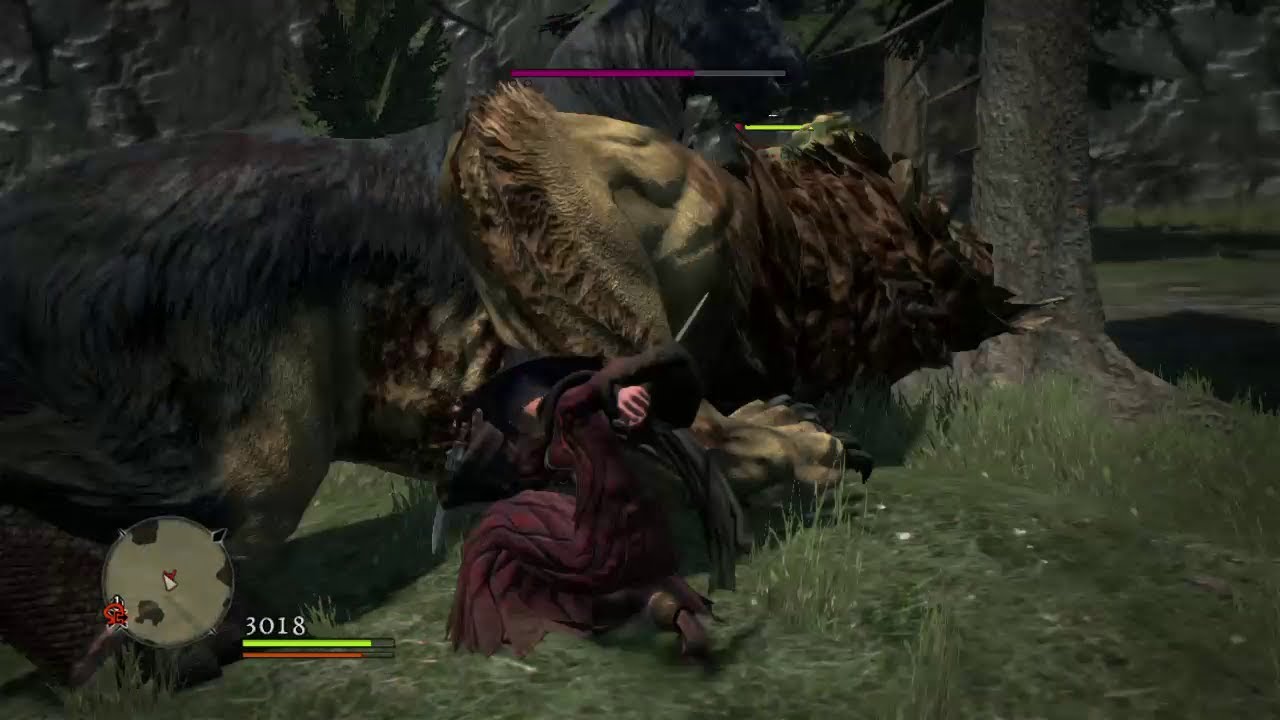 Dragon’s Dogma: Dark Arisen - Adept's Robe - YouTube