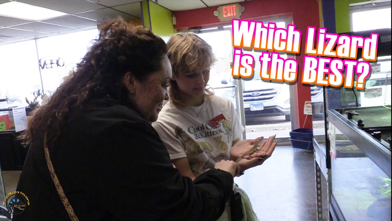 Let's Spy on TDI! -- Picking Out a New Pet, a Very Hoppy Crested Gecko ...