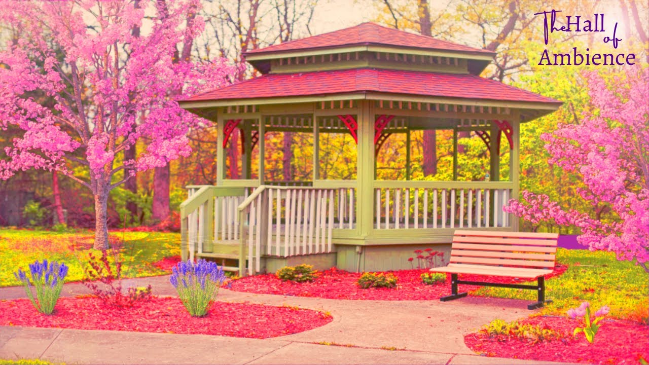 Spring Ambience | Cherry Blossoms, flowers, butterflies, bird chirping ...