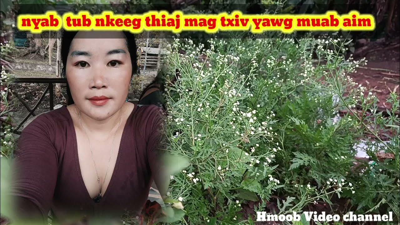 tub nkeeg thiaj mag txiv yawg muab aim - YouTube