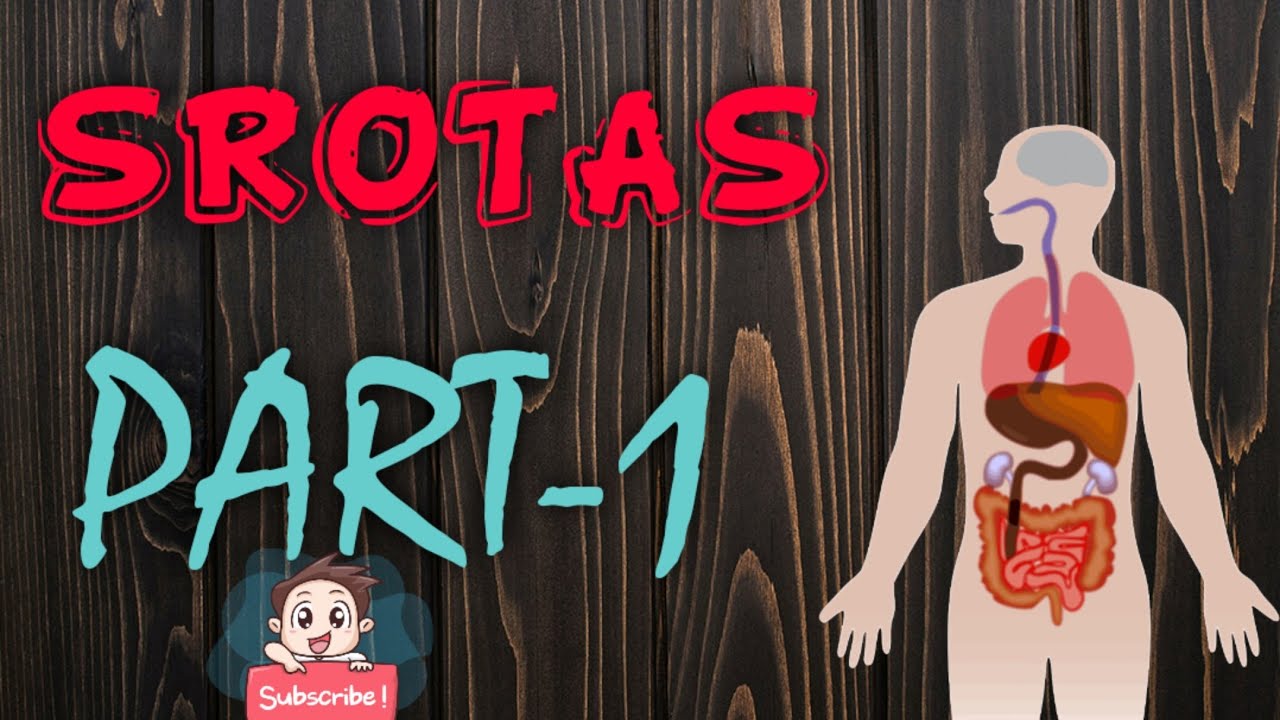 Srotas easy lecture || PART-1 || Roga Nidana || BAMS 2nd year - YouTube