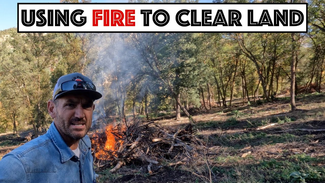 #625 - Using FIRE To Clear Our New Land... - YouTube