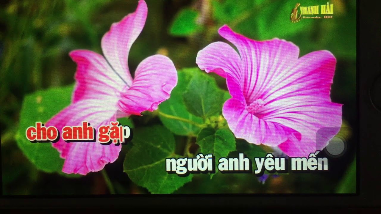 Ka ra o ke sc sao ut voi lay Chong. Thieu giong nu - YouTube