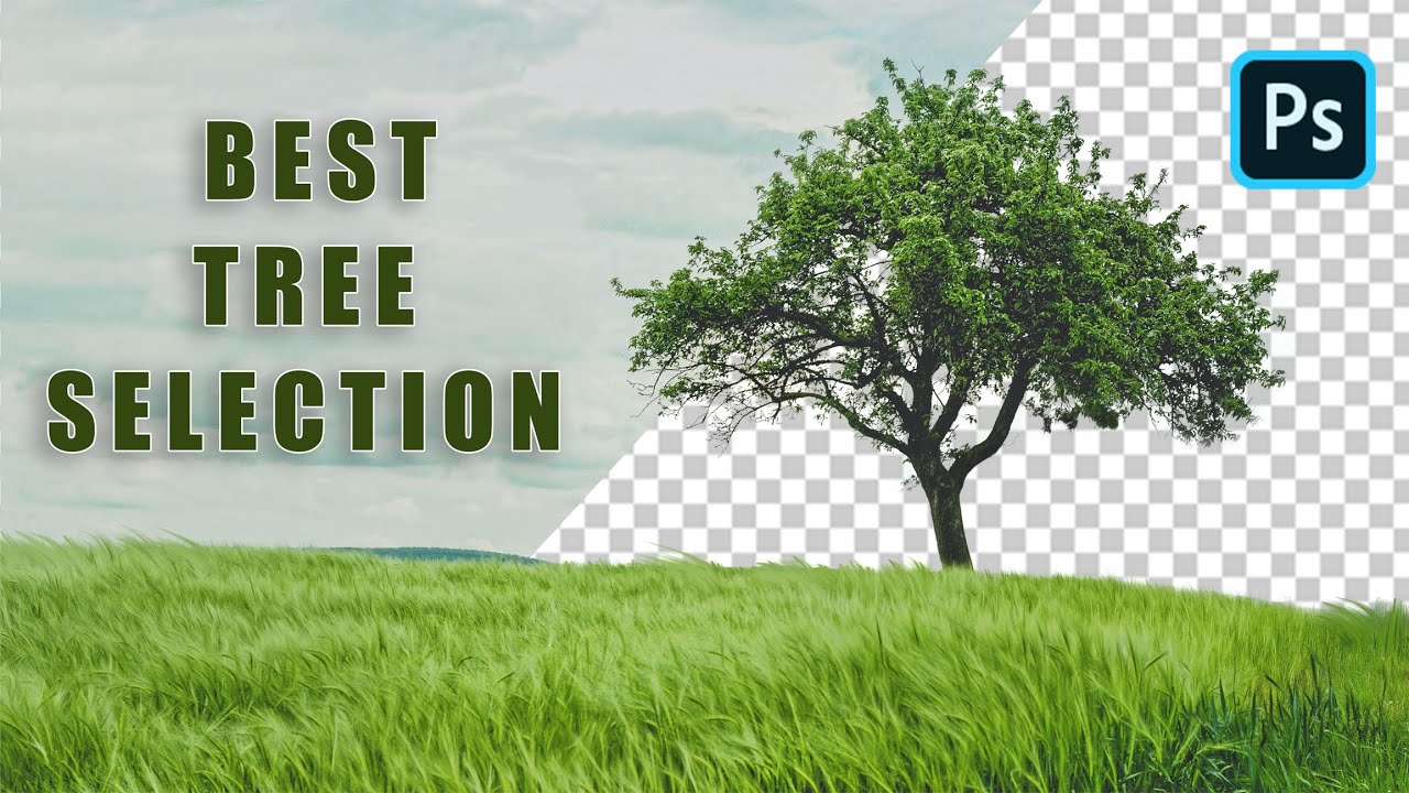 How to Select Trees using Photoshop | Difficult Selections -Tree ...