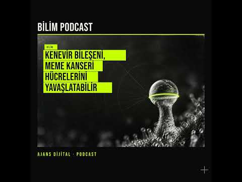 THC Bulgusu Meme Kanseri Araştırmalarında Neyi Gerçekten Değiştirir?