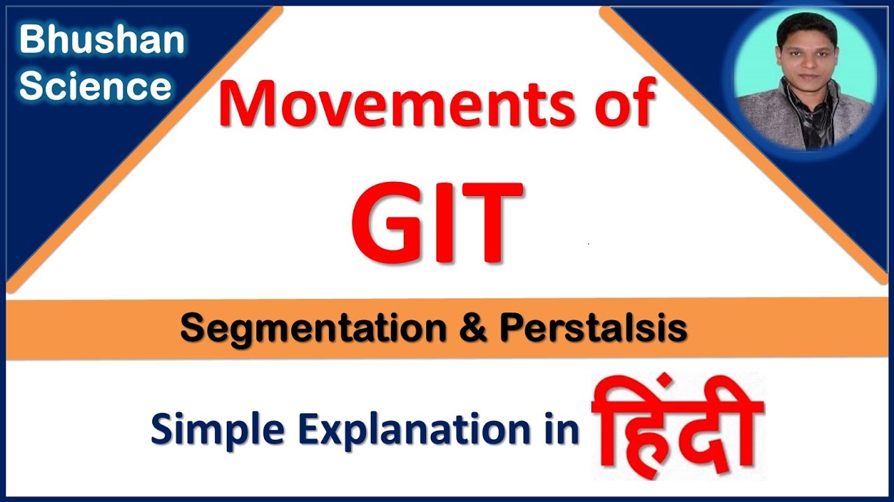 Movements of GIT (Chewing, Swallowing Peristalsis Segmentation ...