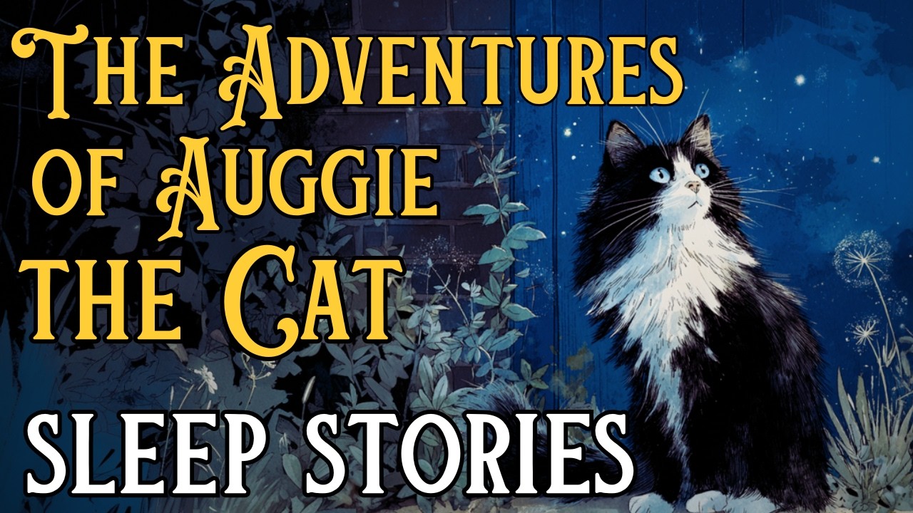 🐱BEST Sleep Stories Compilation: The Adventures of Auggie the Cat 🐱 ...
